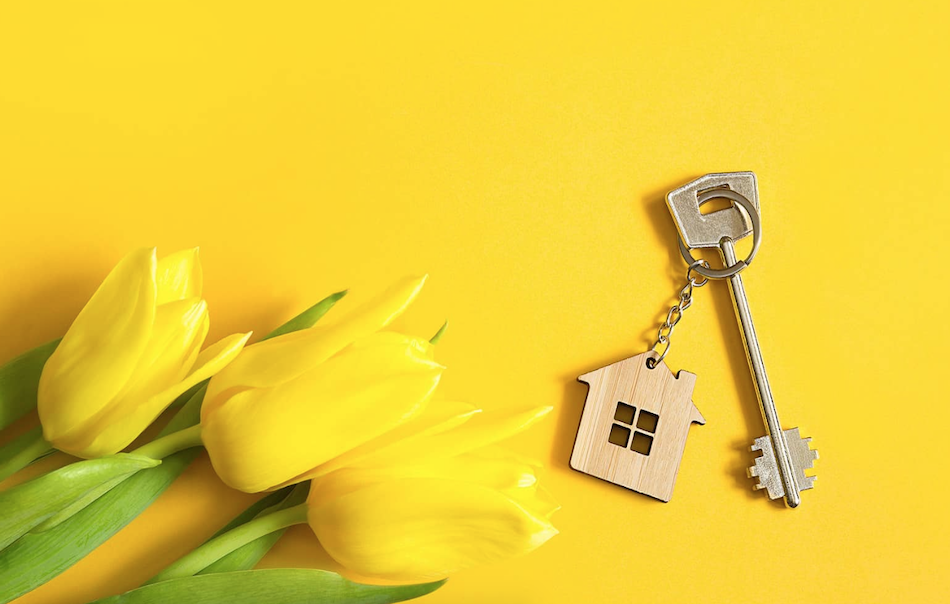 Spring optimism is in the air - Bailey & Co